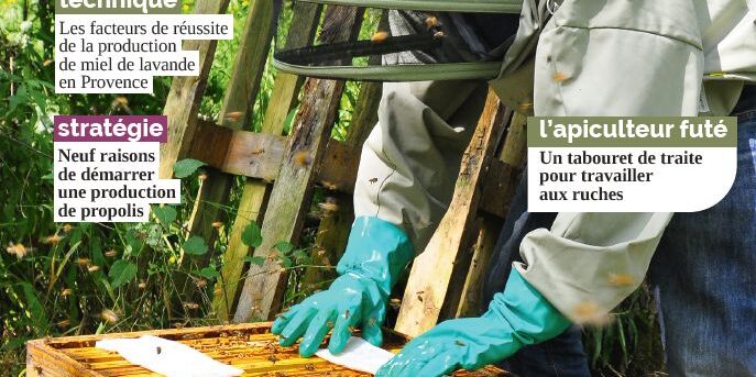 Causes et conséquences de la disparition des abeilles - Addav ...